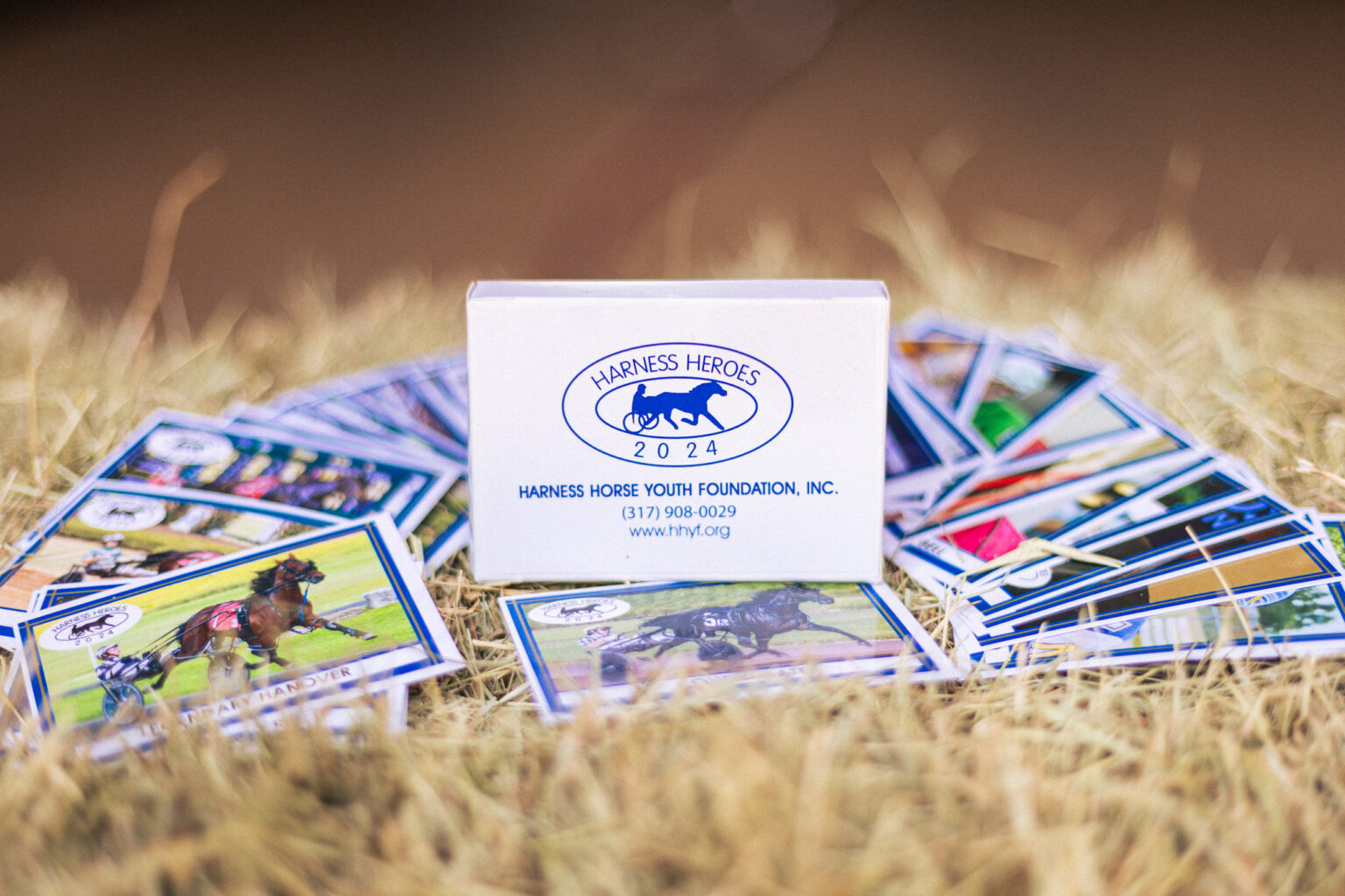 Harness Horse Youth Foundation